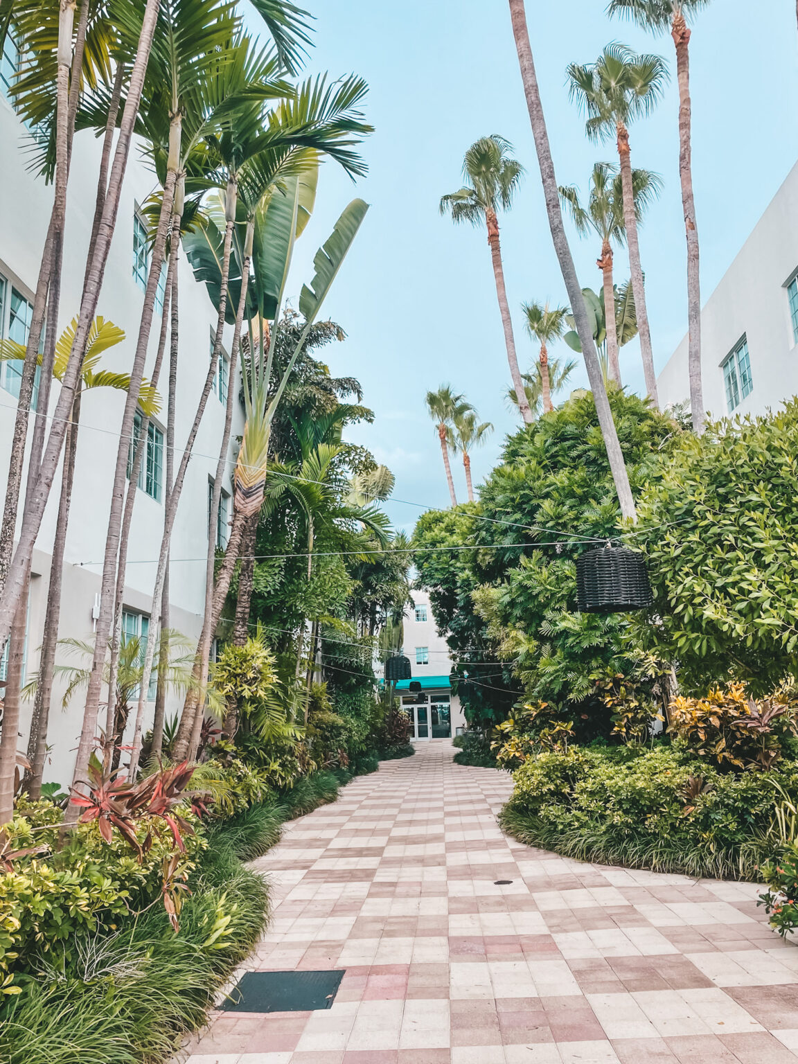 Hotel Review: Kimpton Surfcomber, Miami | xoxojackie blog
