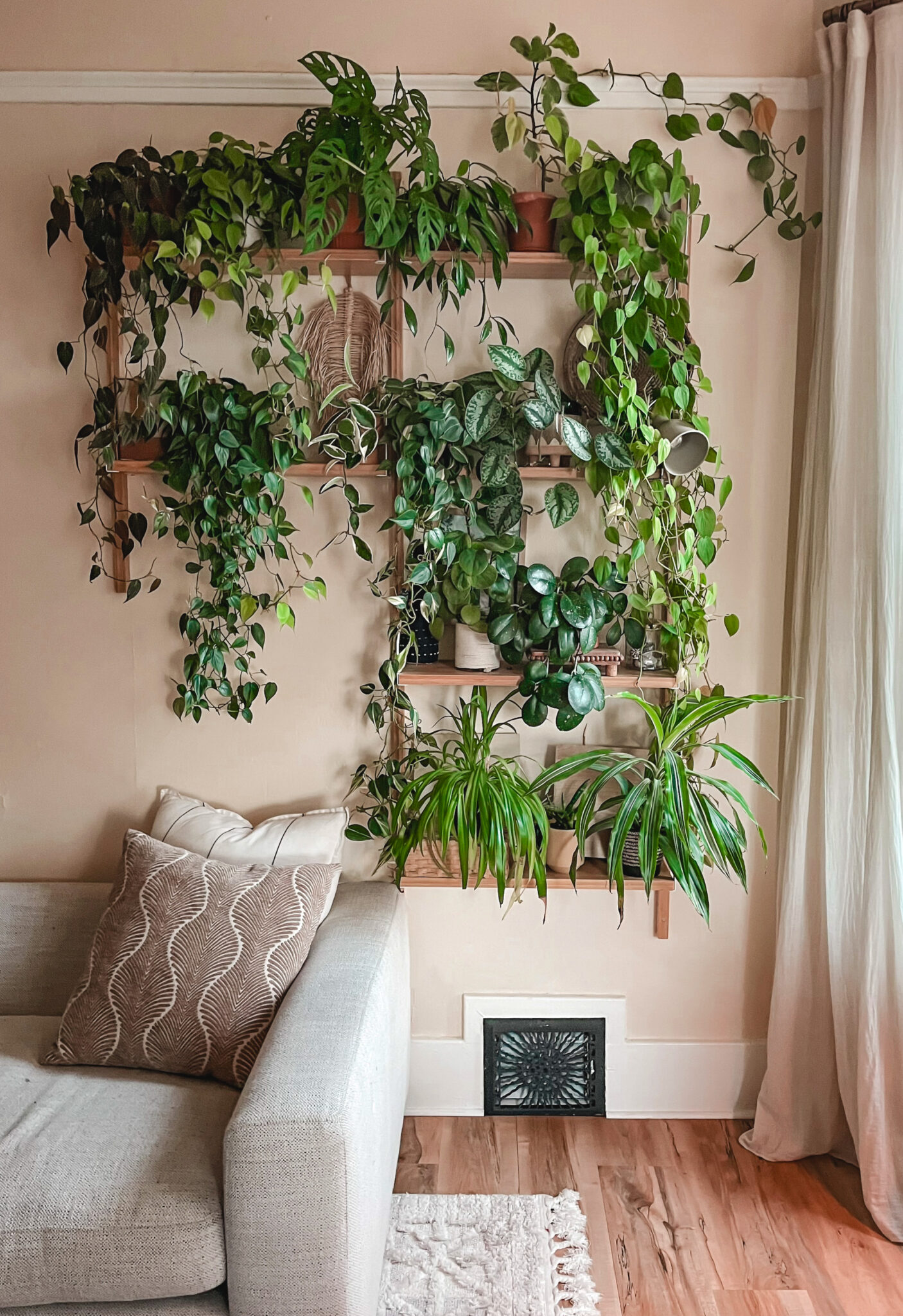 20 Best Houseplants for a Tropical-Inspired Home | xoxojackie blog