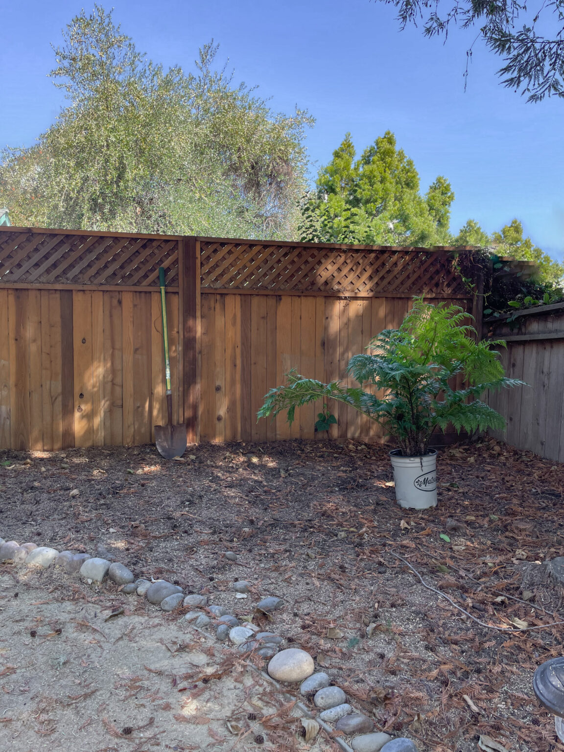 Shady Backyard Design | xoxojackie blog