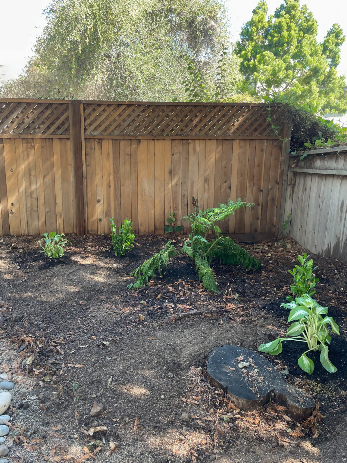 Shady Backyard Design | xoxojackie blog